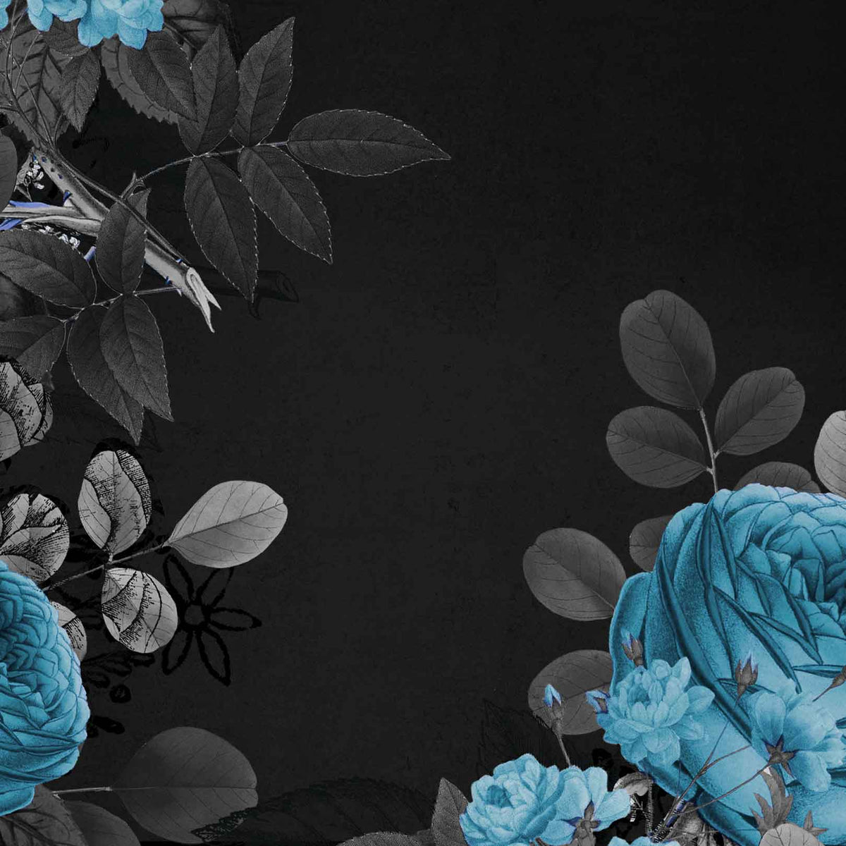 The Company of Vengeful Crows by Lana Pecherczyk | Fae Guardians ...